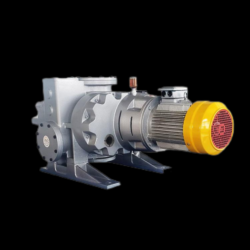 Roots Vacuum Pump